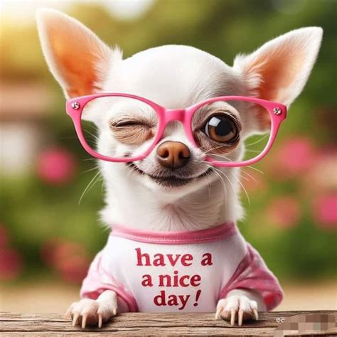 25 Best Have A Great Day Memes