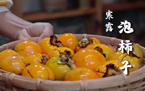 寒露摘柿子滇西小哥 哔哩哔哩