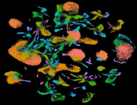 Tabular Autoencoder Part 1 2019 Fastai Course Forums