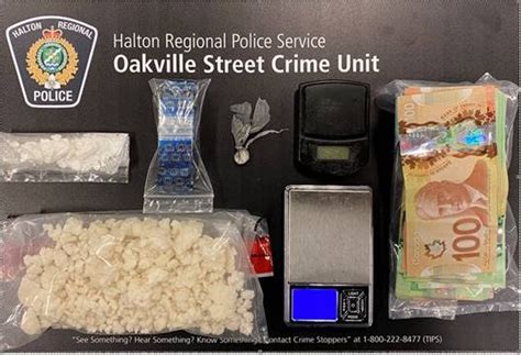 Suspect Charged In Oakville Drug Trafficking Investigation Oakville News