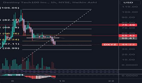 Dxyz Stock Fund Price And Chart Nyse Dxyz Tradingview