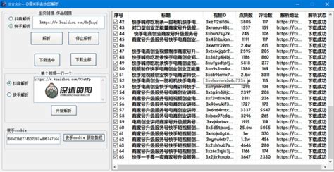 抖音视频批量下载软件（支持抖音主页视频一键下载）魔武网络科技工作室