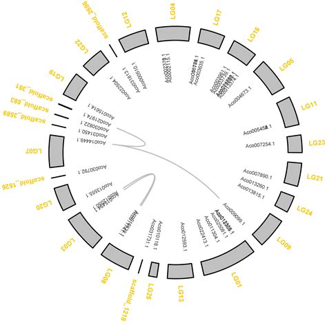 Tbtools基因家族分析详细教程 3 基因家族成员的进化分析2 腾讯云开发者社区 腾讯云