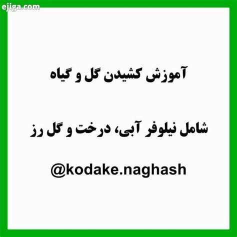 فیلم آموزشی کشیدن گل گیاه کودک نقاش کودک خلاق نقاشی طبیعت نیلوفر آبی