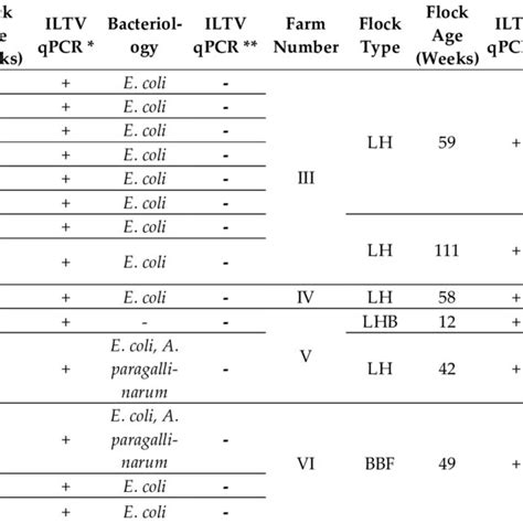 Results Of Bacteriological And Molecular Analyzes From All Farms Download Scientific Diagram