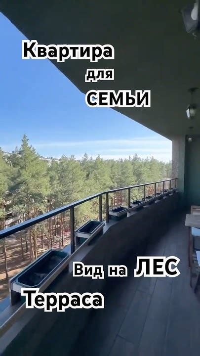 Квартира с видом на ЛЕС Youtube