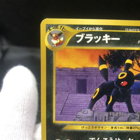 Yahooオークション ポケモンカード 旧裏面 旧裏 ブラッキー