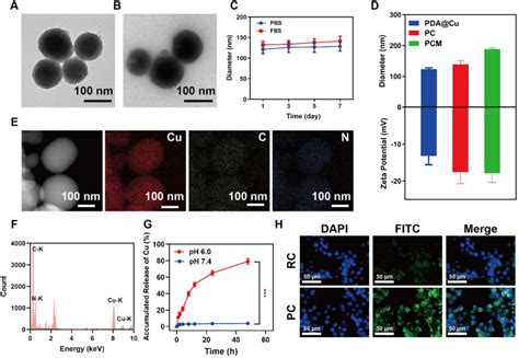 Tumor Microenvironment Responsive And Platelet Membrane Coated Polydopamine Nanoparticles For