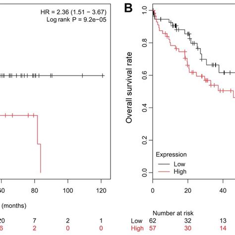 Prognostic Value Of Mirna 760 Expression In Patients With Hcc Of Download Scientific Diagram