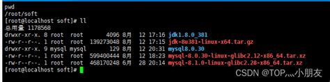 【linux】centos73环境下安装mysql 8030mysql 8030 初始化密码 Csdn博客