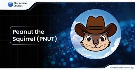 Peanut The Squirrel Blockchain Council