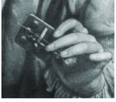 Detail Of Portrait Of Leeuwenhoek Showing Three Lenses On One Download Scientific Diagram