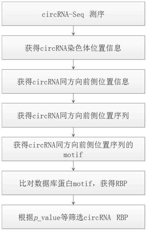 Method For Predicting Rna Binding Protein Based On Circrna Position