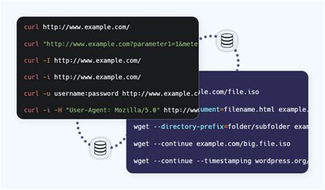 Wget Vs Curl Key Differences For Web Scraping