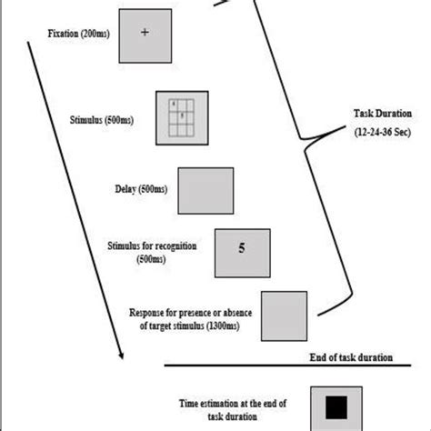 Flow Chart Of Working Memory Task Download Scientific Diagram