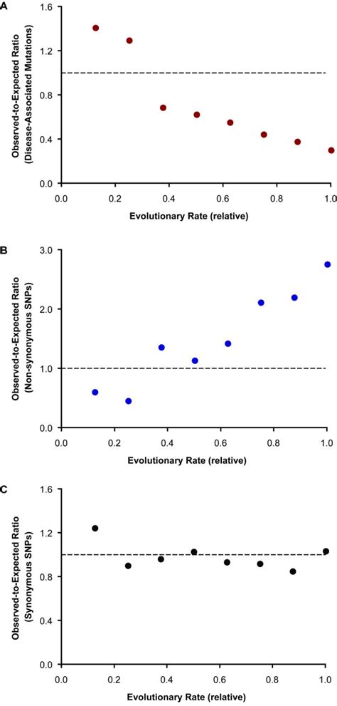Relationship Of The Observed To Expected Numbers Of Mutations In Download Scientific Diagram