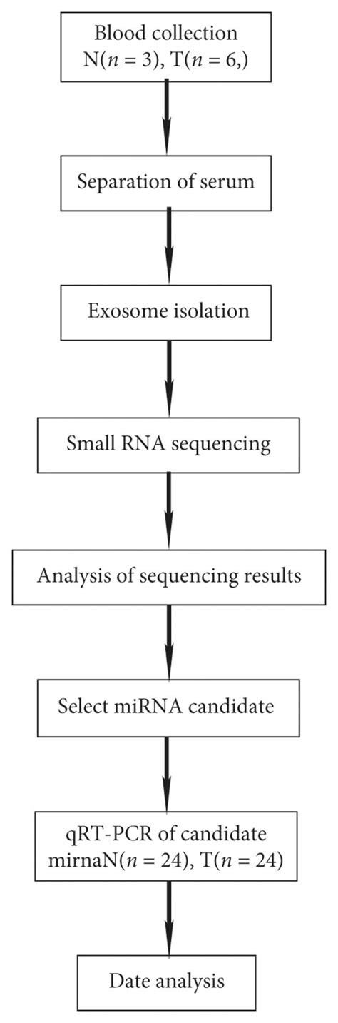 Bioinformatics Analysis And Flowchart Of Experiments A Flowchart Of