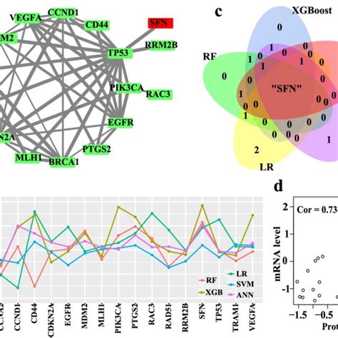 Netbox And Machine Learning Model A Molecular Interaction Network Download Scientific Diagram