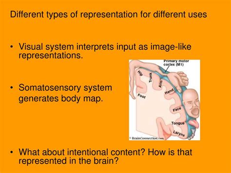 Ppt Modularity Of Mind Continued And The Language Of Thought Ppt Modularity Of Mind Continued And The Language Of Thought