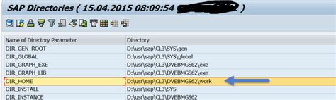 Downloading File From Sap Appliciation Server Directory Sapcodes