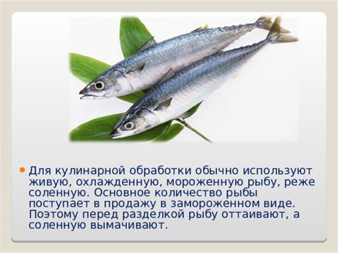 Производство полуфабрикатов из рыбы с костным скелетом технологическая ...