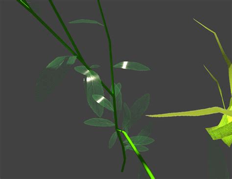 Modeling My Object Is Too Transparent How To Fix It Blender Stack Exchange