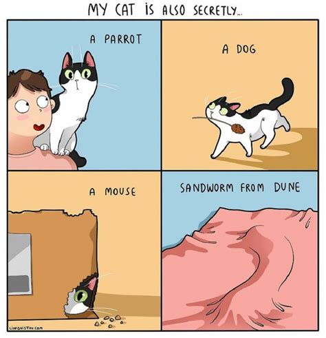 Delight In These 20 Funny And Cute Cat Comics