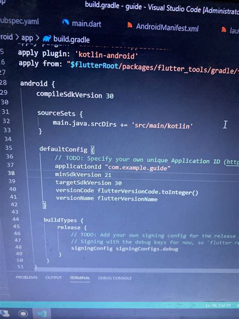 Flutter Video Player · Issue 80371 · Flutterflutter · Github