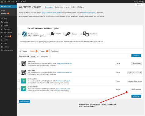 Automatic Updates For Wordpress Core Easy Web Design Tutorials