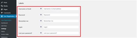 Customizing Login Form Labels Placeholder And Messages User