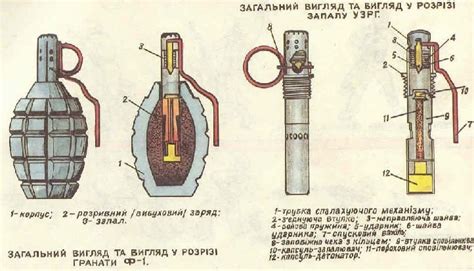 Ручная граната Ф-1 (Лимонка): технические характеристики, радиус ...