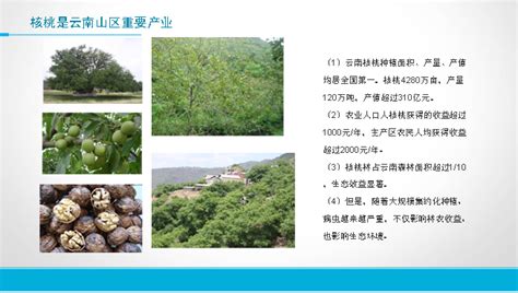 【云南】留联会等举办“智慧农林业”科普论坛 欧美同学会