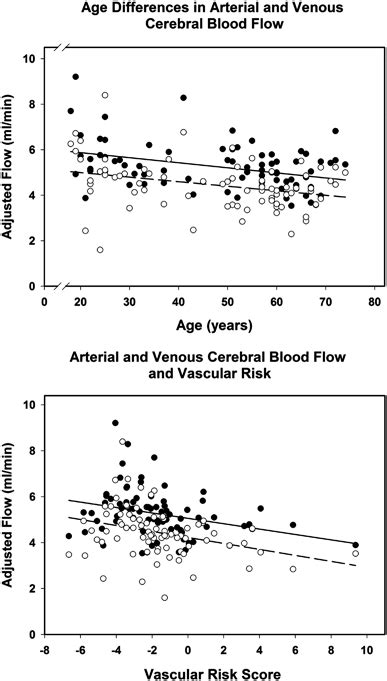 Age And Vascular Risk Related Differences In The Rate Of Cerebral Download Scientific Diagram