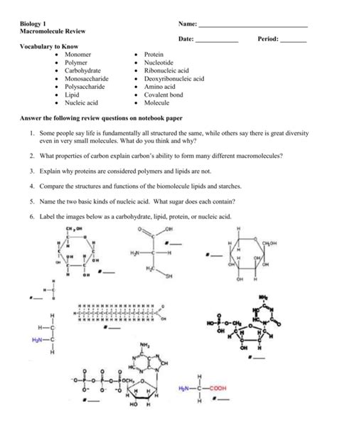 Macromolecule Review Worksheet Biology