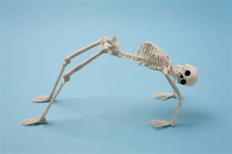 [100 ] Funny Skeleton Pictures
