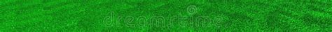 Artificial Lawn Stock Illustrations 6326 Artificial Lawn Stock Illustrations Vectors
