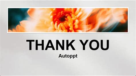 국화 테마 파워포인트 템플릿 Autoppt