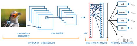Python实现 鸟脸识别 系统看看什么鸟最贪吃 初学者也能学会 量子位