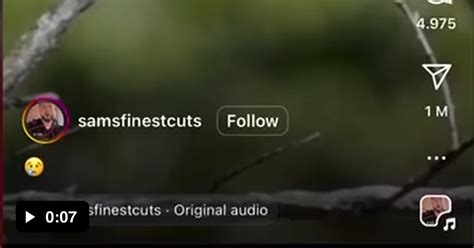 Mocking Bird Is Mocking Me 9gag