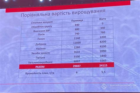 Жито на бідних ґрунтах дає кращу врожайність порівняно до пшениці — досвід —