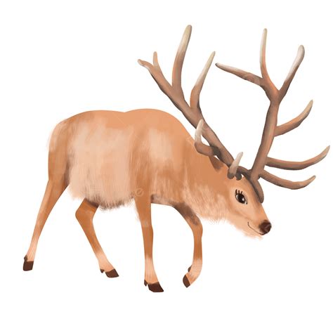 Mammals Clipart Hd Png Light Brown Elk Mammal Clipart Elk Clipart The The Best Porn Website