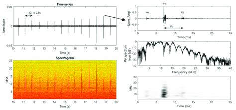 Typical Sperm Whale Acoustic Signal A Click Train And Spectrogram Download Scientific