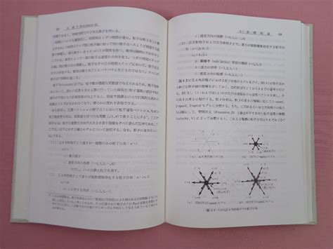 カバーなし 初版 フロッピーディスク付き 格子気体法 格子ボルツマン法 新しい数値流体力学の手法 蔦原道久 他 コロナ社物理学｜売買さ