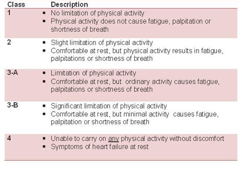 Nyha Meddic Nyha Meddic