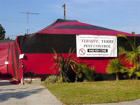 Termite Inspection Orange County