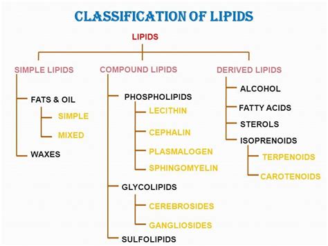 Classification Of Lipids Biochemistry Notes Clinical Chemistry