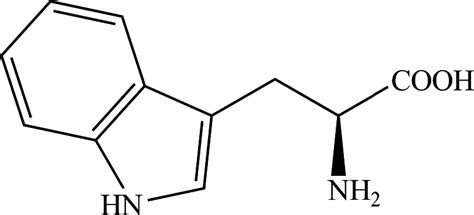 Structural Formula Of Ltryptophan Download Scientific Diagram