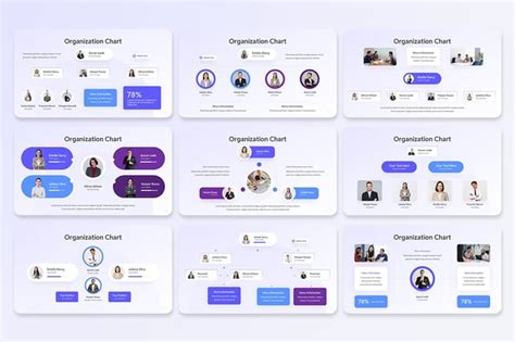 Organization Chart Incl Hierarchy And Organizational Chart Envato