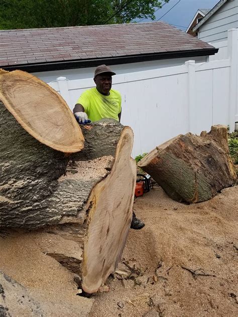 St Louis Landscaping Photos Limbs R Us