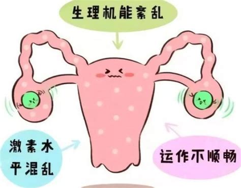 為什麼有的女性體毛旺盛，有的「光禿禿」？哪類人更健康？ 壹讀